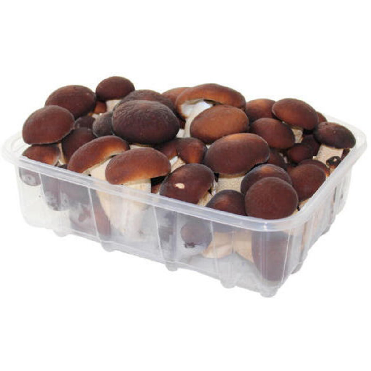 FUNGHI PIOPPINI CONF AL KG | IperDrive