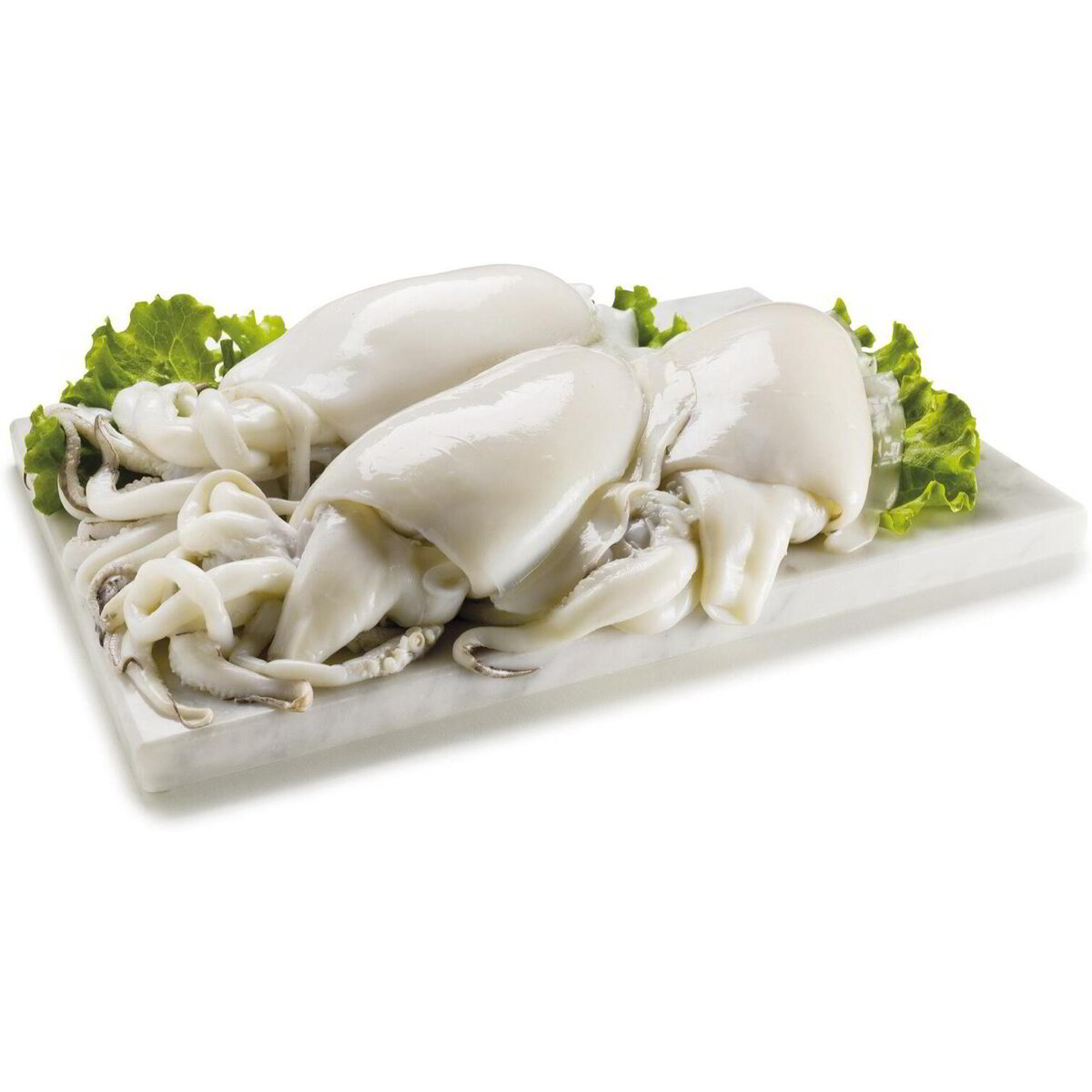 Seppia indopacifica decongelata | IperDrive