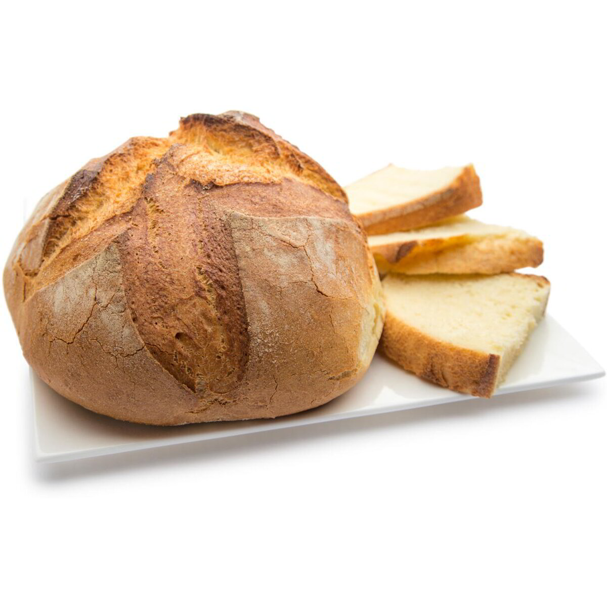 Pane fresco "Pugliese" Nostra Produzione | IperDrive