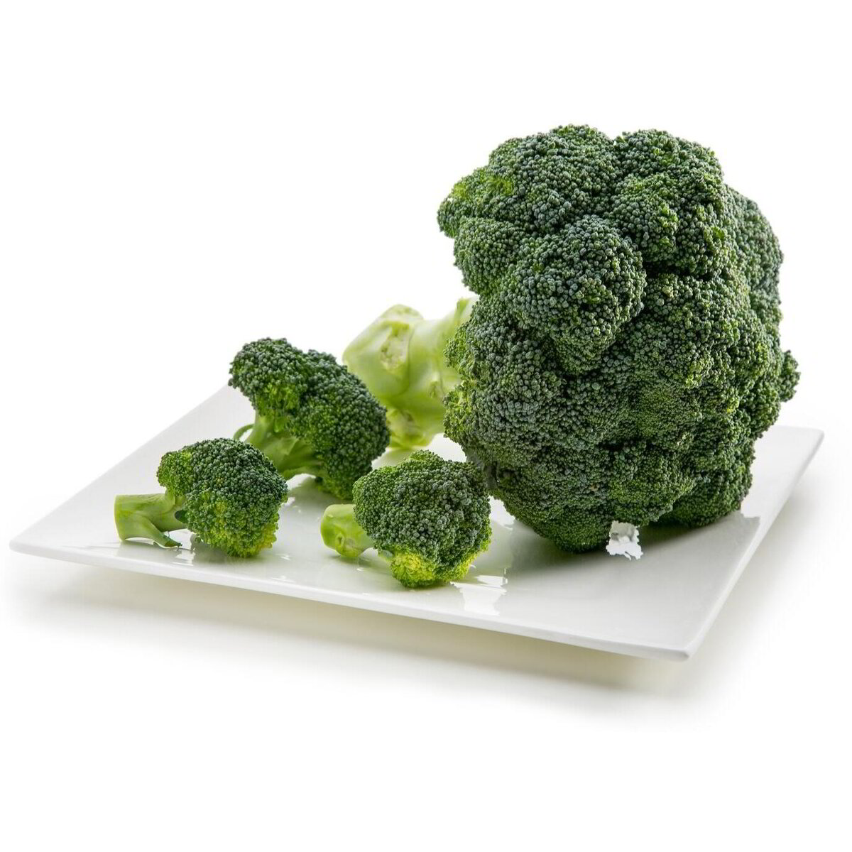 BROCCOLETTI 500G | IperDrive