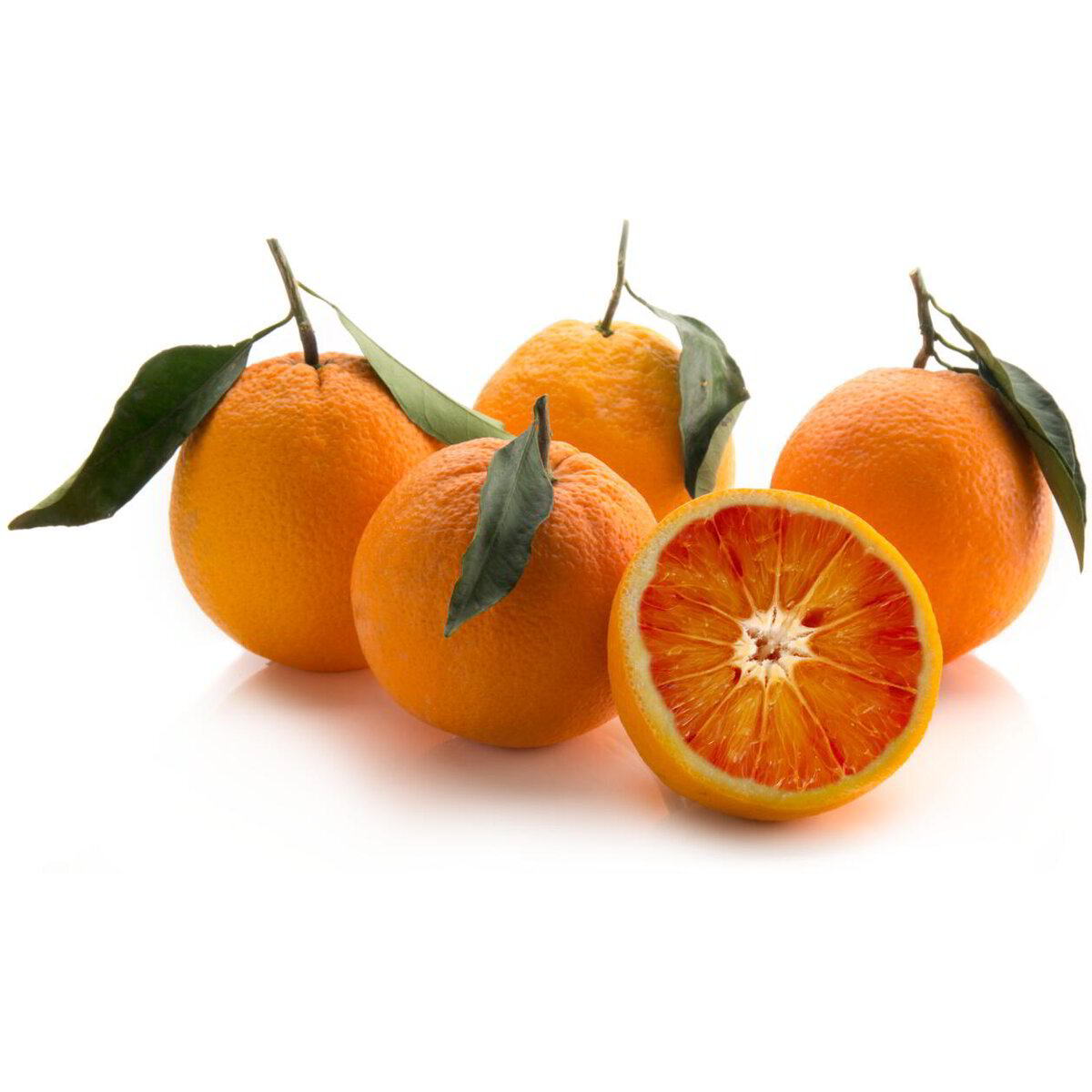 ARANCE TAROCCO FOGLIA AL KG Prodotto Sfuso | IperDrive