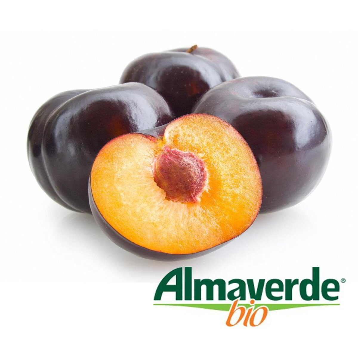 Susine stanley Bio Almaverde Bio | IperDrive