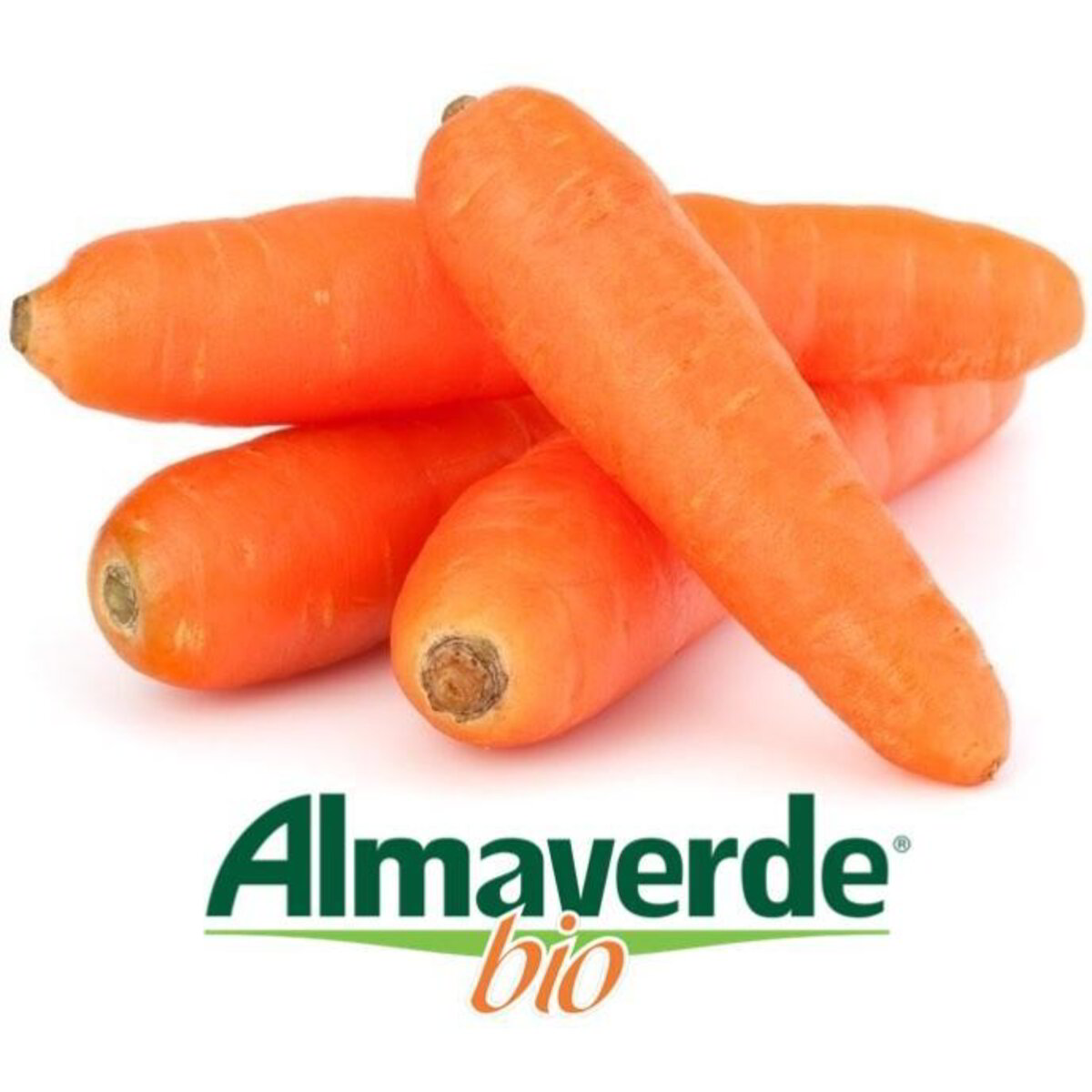 Carote Bio Almaverde Bio | IperDrive