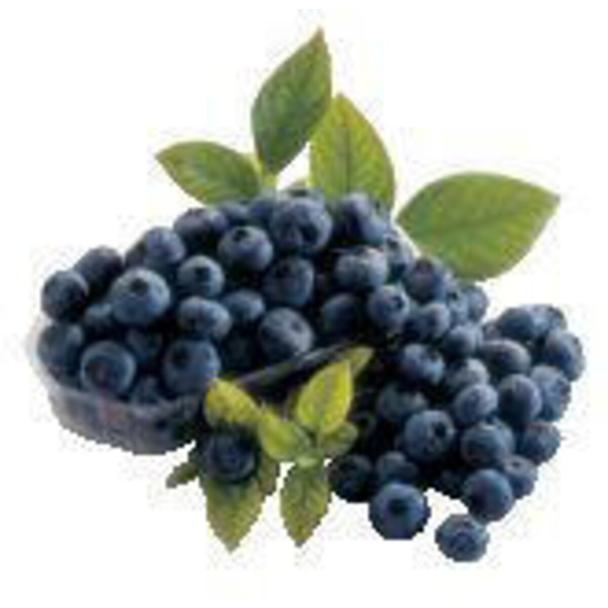 mirtilli 250 g | IperDrive