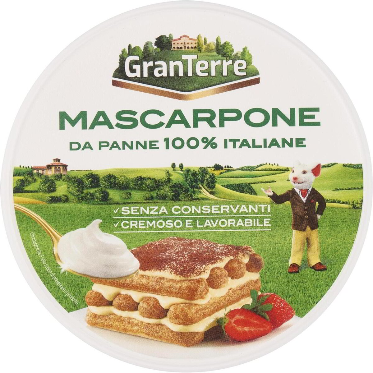 GranTerre Mascarpone 500 g GranTerre | IperDrive