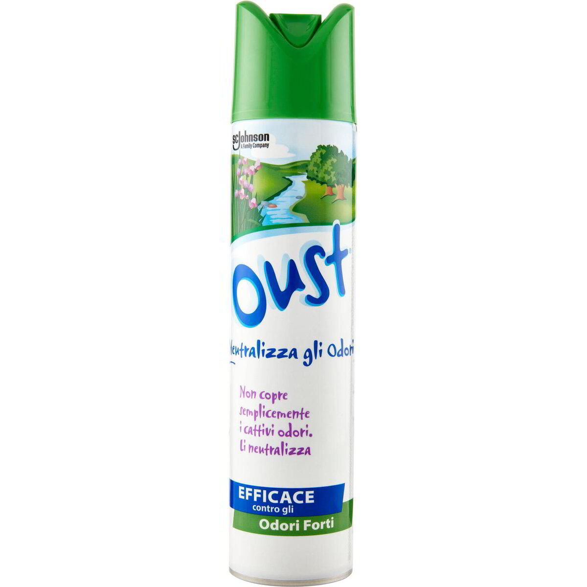 Oust Spray 300ml Oust | IperDrive