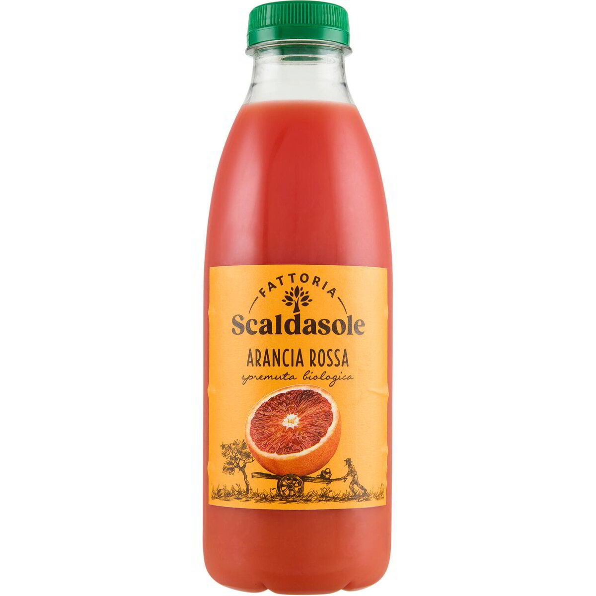Fattoria Scaldasole Arancia Rossa spremuta biologica 750 ml Fattoria ...